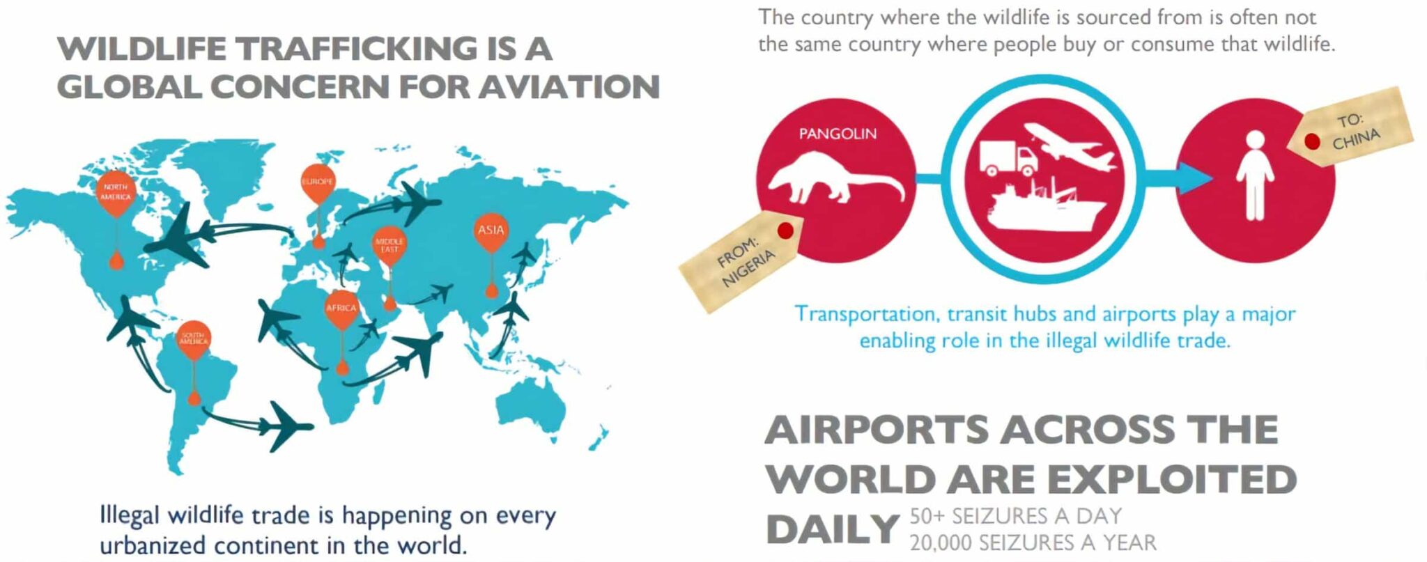 Breaking the Wildlife Trafficking Supply Chain: How Airports can Help ...