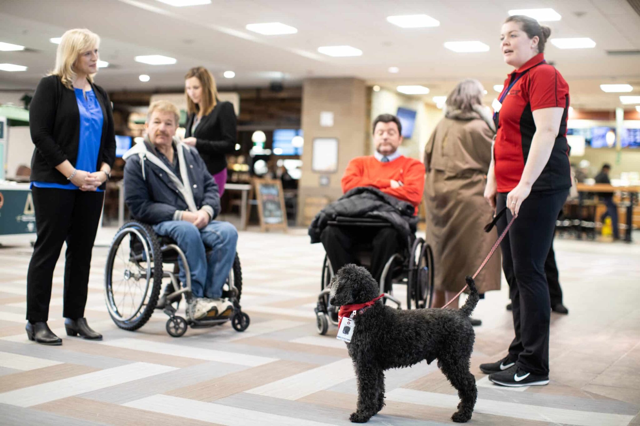 Taking People to New Heights in Accessible and Inclusive Airports | ACI ...
