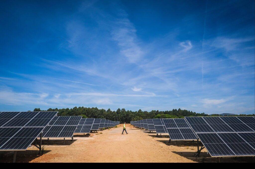 A risk-based approach : The key to effective Wildlife Hazard management ...